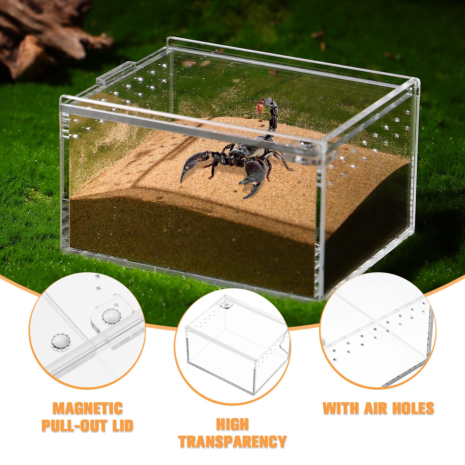 POPETPOP Acrylic Reptile Feeding Box Reptile Breed... – Vicedeal