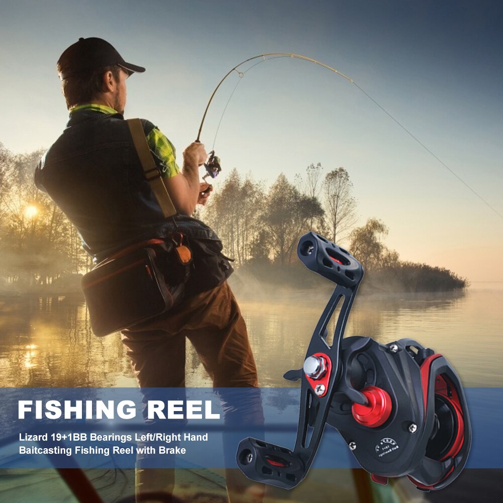 Left/Right Hand Fishing Reel Baitcasting Lizard 19... – Grandado