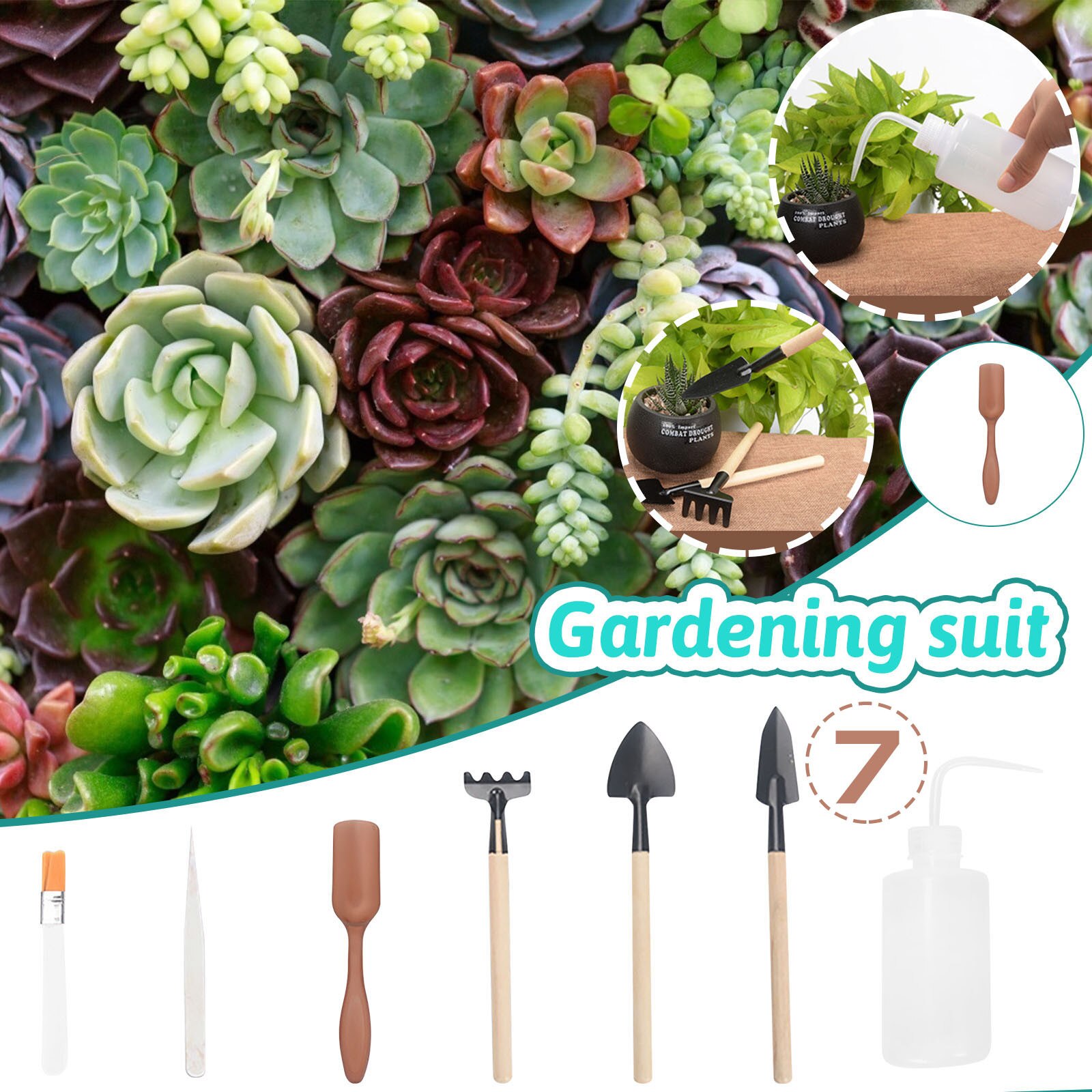 Planter Kit Gardening Succulent Planting Tools 7-p... – Vicedeal