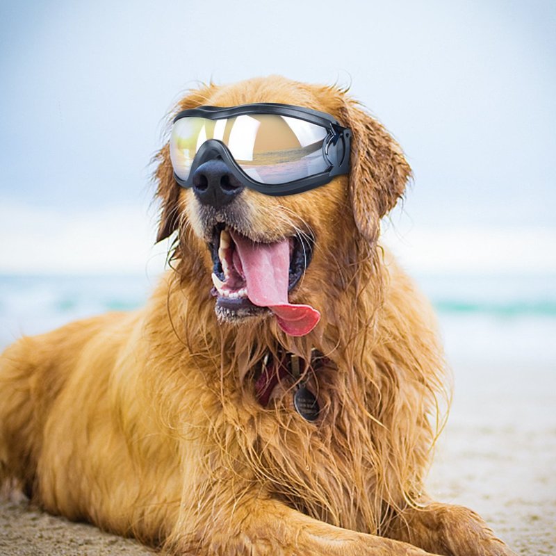 Large Dog Goggles Sunglasses UV Goggles Goggles Go... – Grandado