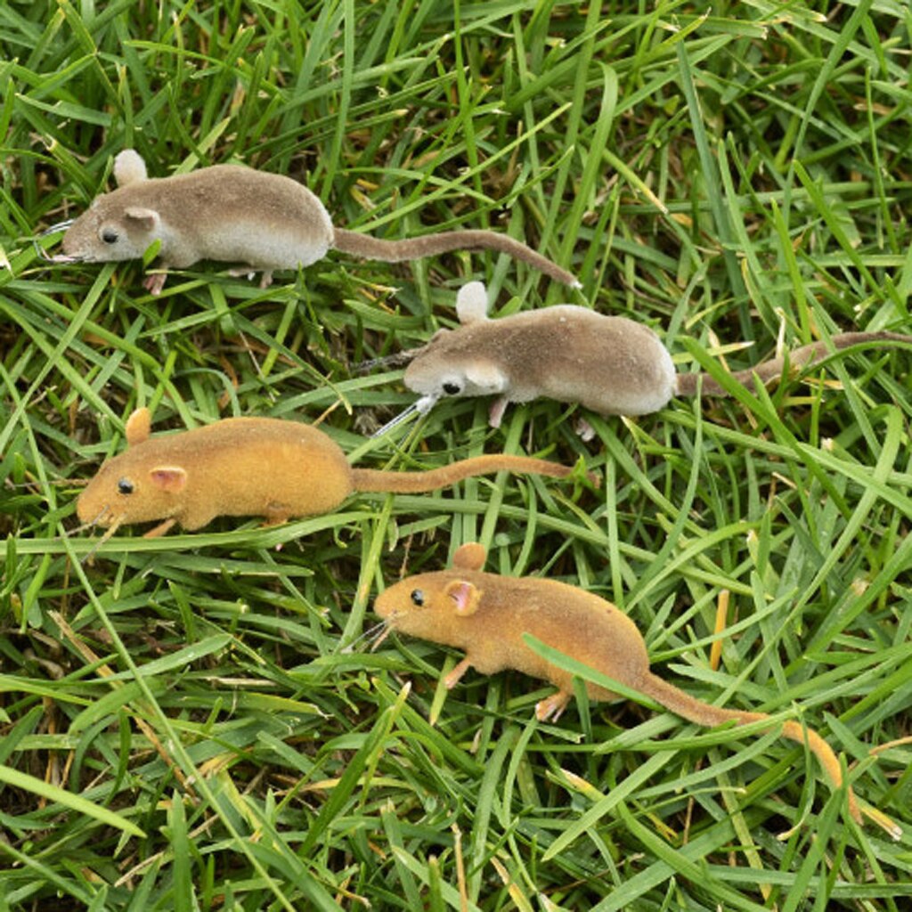 Realistic Clay Mouse Mice Gray Rat Cat Training To... – Grandado