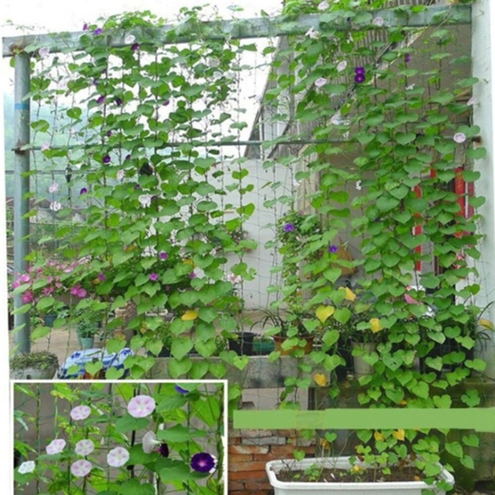 Trellis Plant Support Mesh Net Fence Tent Climbing... – Grandado