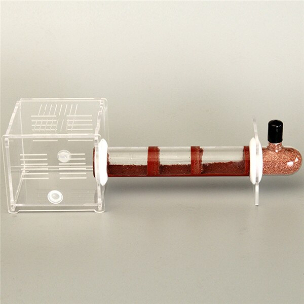 Bamboo Shape Glass Tubes Ant Nest With Active Zone... – Vicedeal