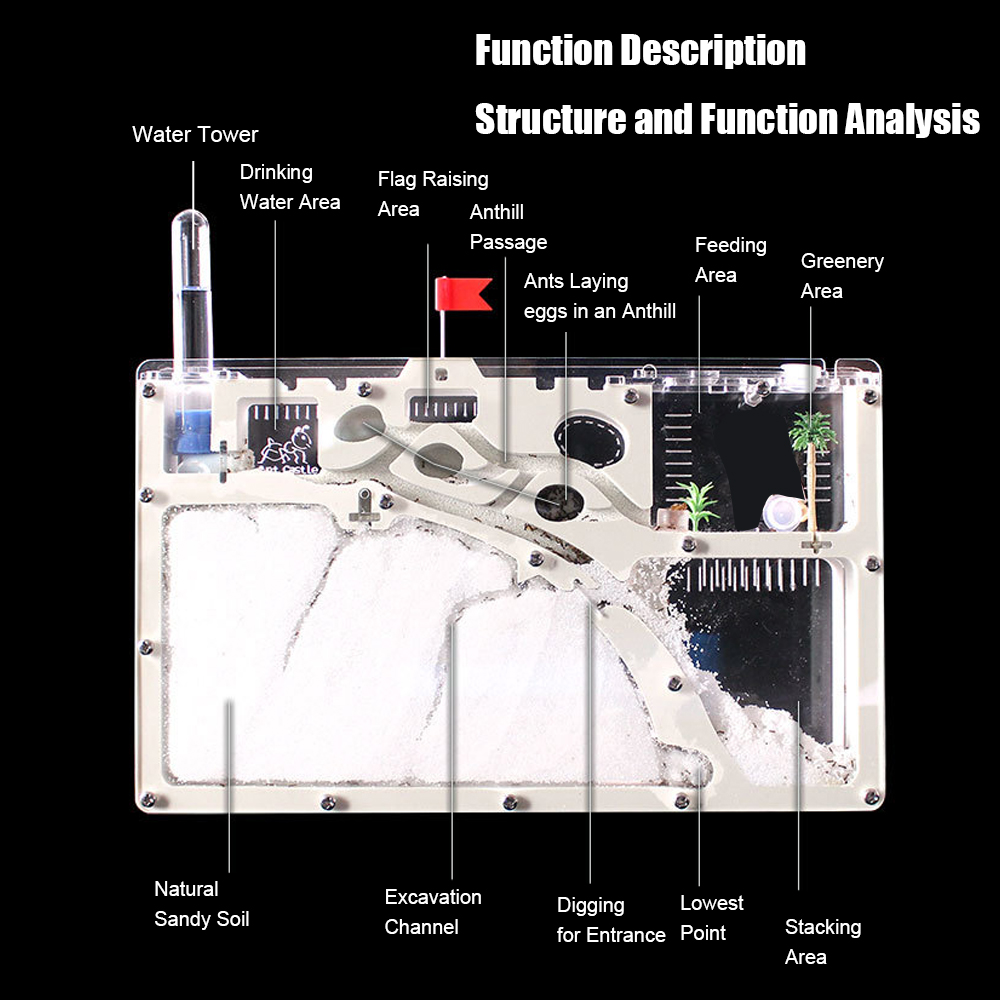 HOOMIN Underground Household Ant Farm Children Edu... – Grandado