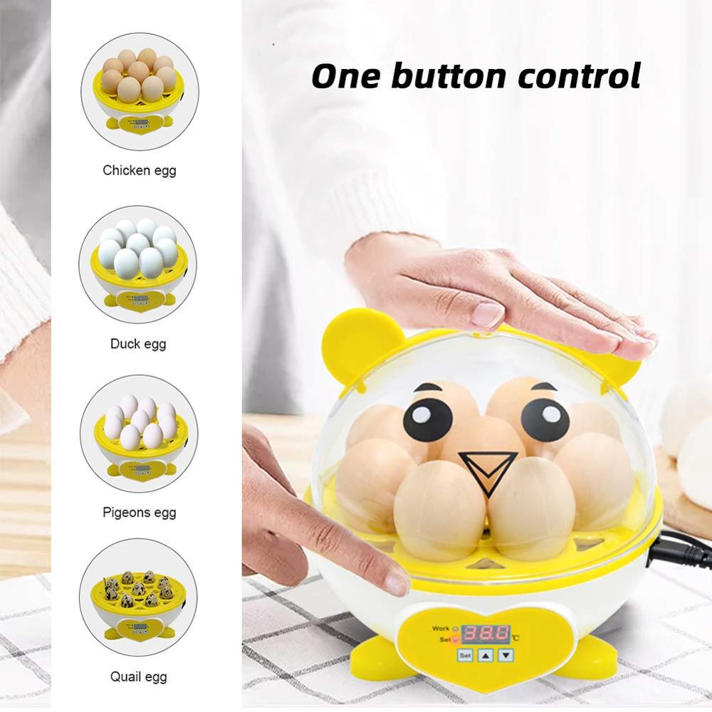 9 Egg Incubator , Small General Digital Egg Incuba... – Vicedeal
