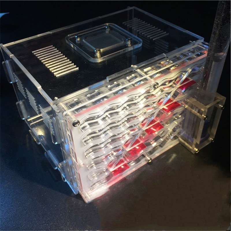 Test tube Moisture big space Ant Nest ,Ant Farm Ac... – Vicedeal