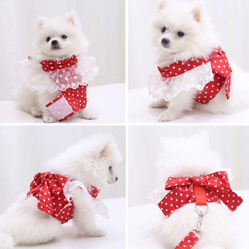Pet Leash And Collar Cute Lace Breathable And Comf... – Grandado