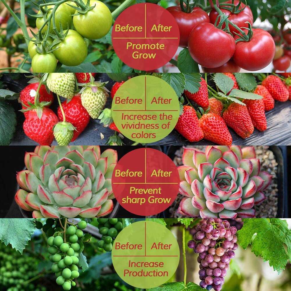 Neue Full Spectrum E27 60 126 200 Leds Rot Blau Le... – Vicedeal