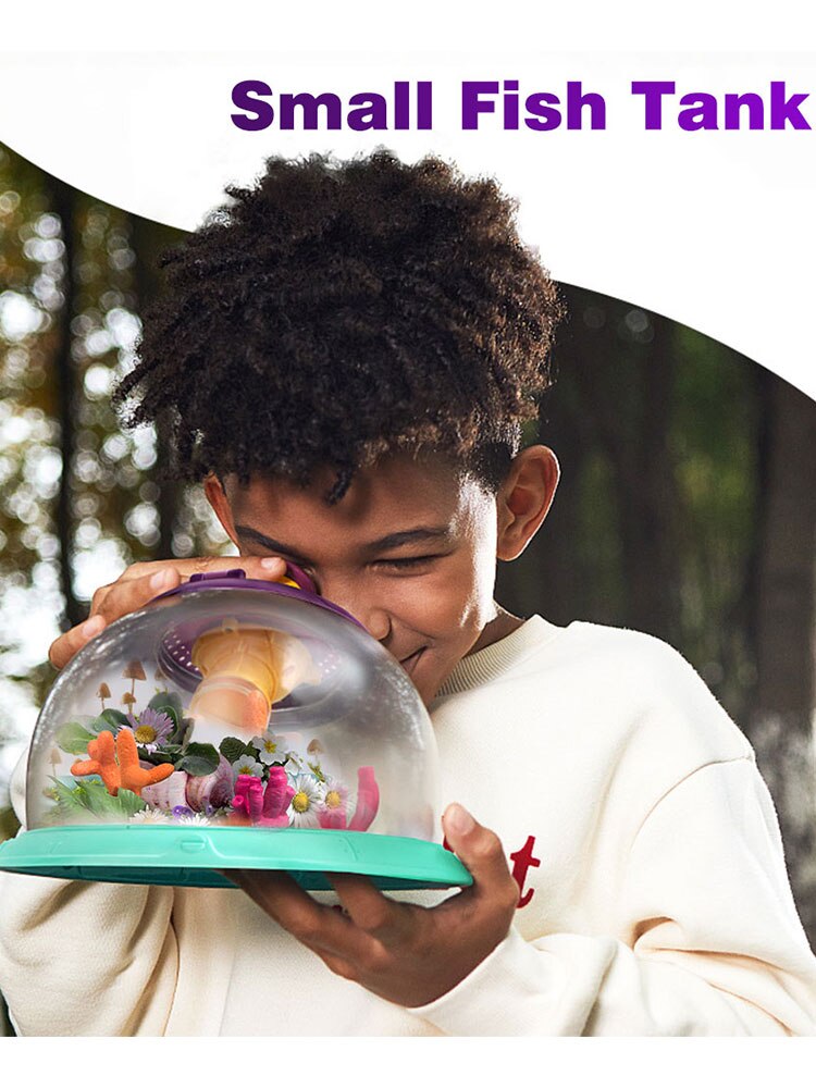 Small Pet Observation BoxHousehold Portable Small ... – Grandado