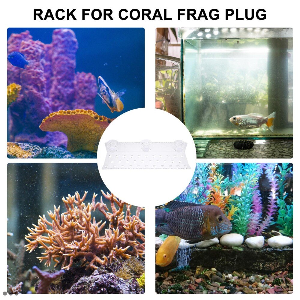 Coral Frag Rack for Aquarium Fish Tank Water Pump ... – Grandado