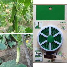 50m Tuin Tie Wire Cable Reel Met Cutter Groene Ree... – Grandado