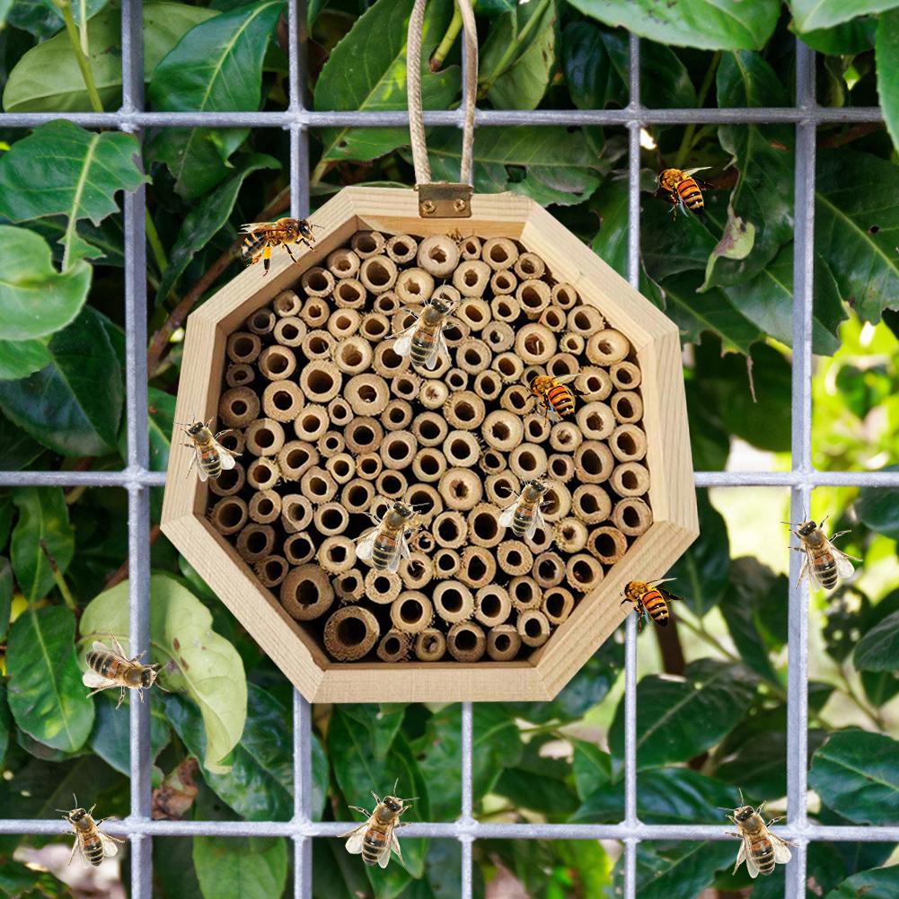 Beehouse Honey Tools Insect Bee House Wooden Insec... – Grandado