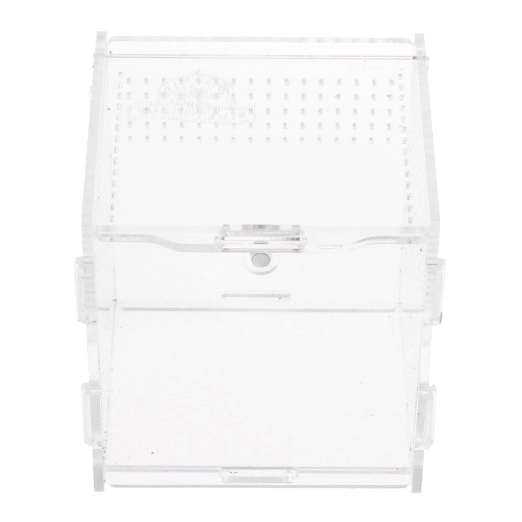 Reptiles Tank Insect Spiders Breeding Box Terrariu... – Grandado