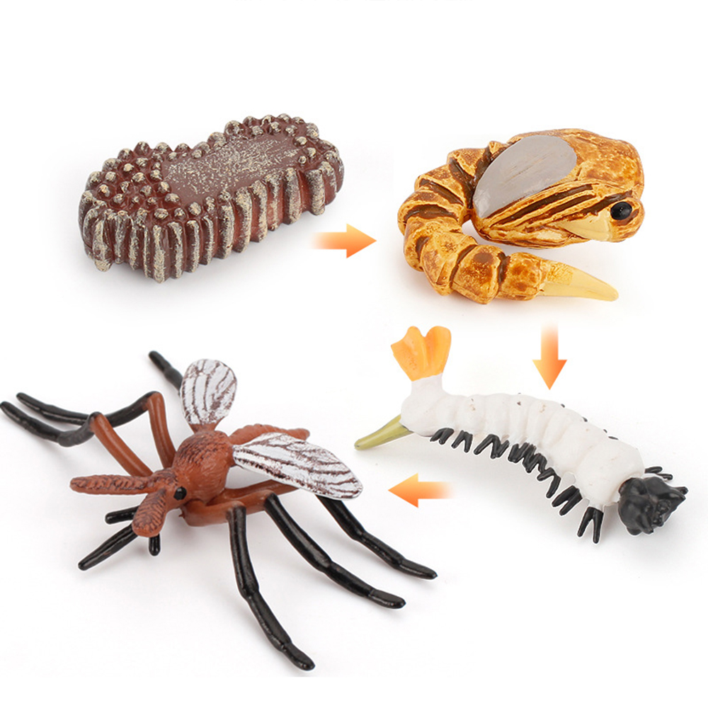 Simulation Animal Toys Solid Turtle Chick Frog Gro... – Grandado