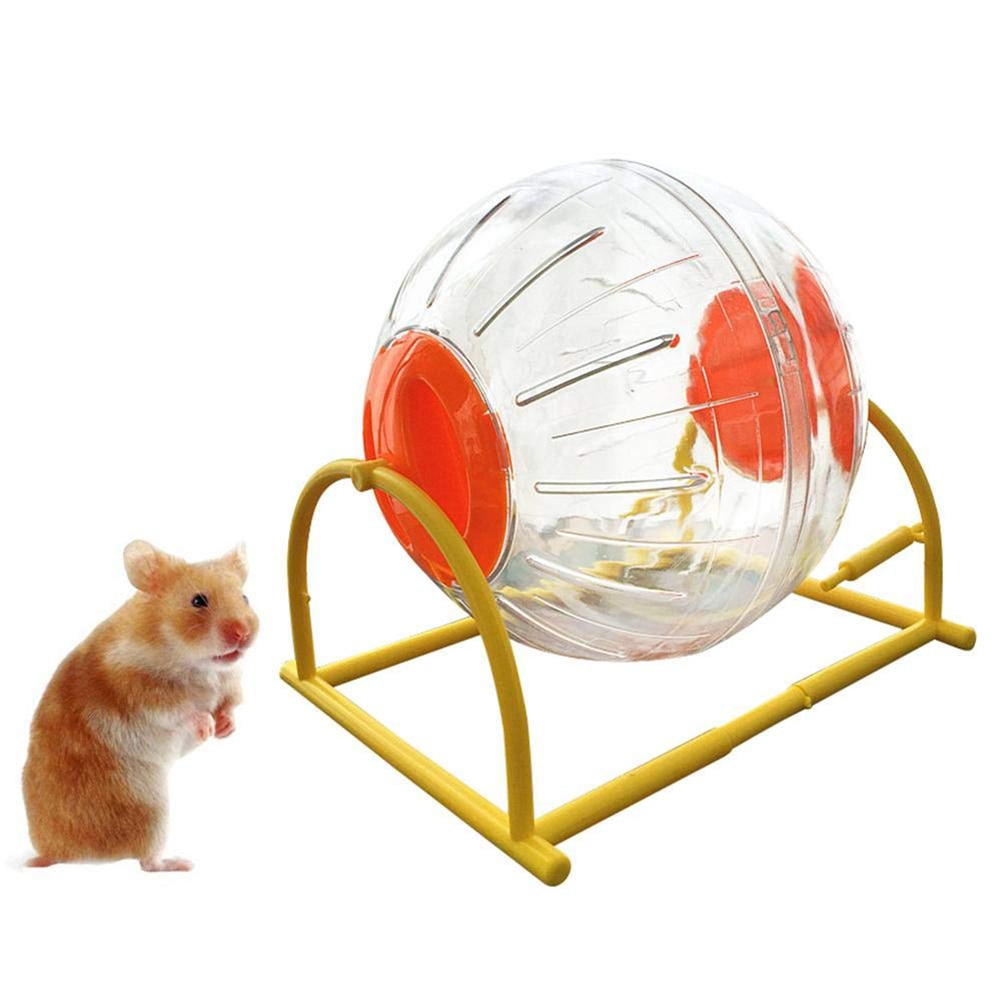Hamster Exercise Ball Mini Transparent Hamster Toy... – Grandado