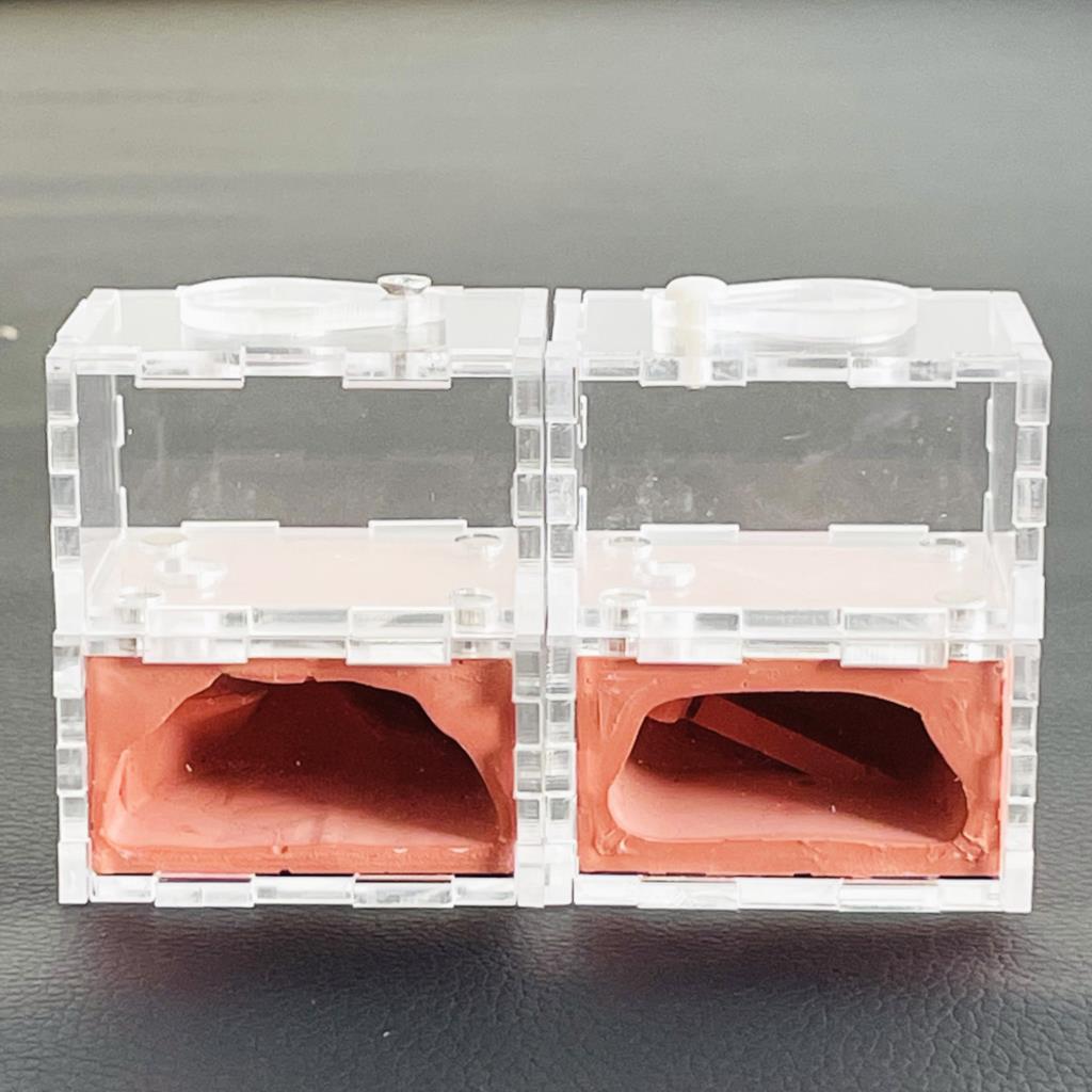 Ant castle Ecological mini pocket hole house for L... – Grandado