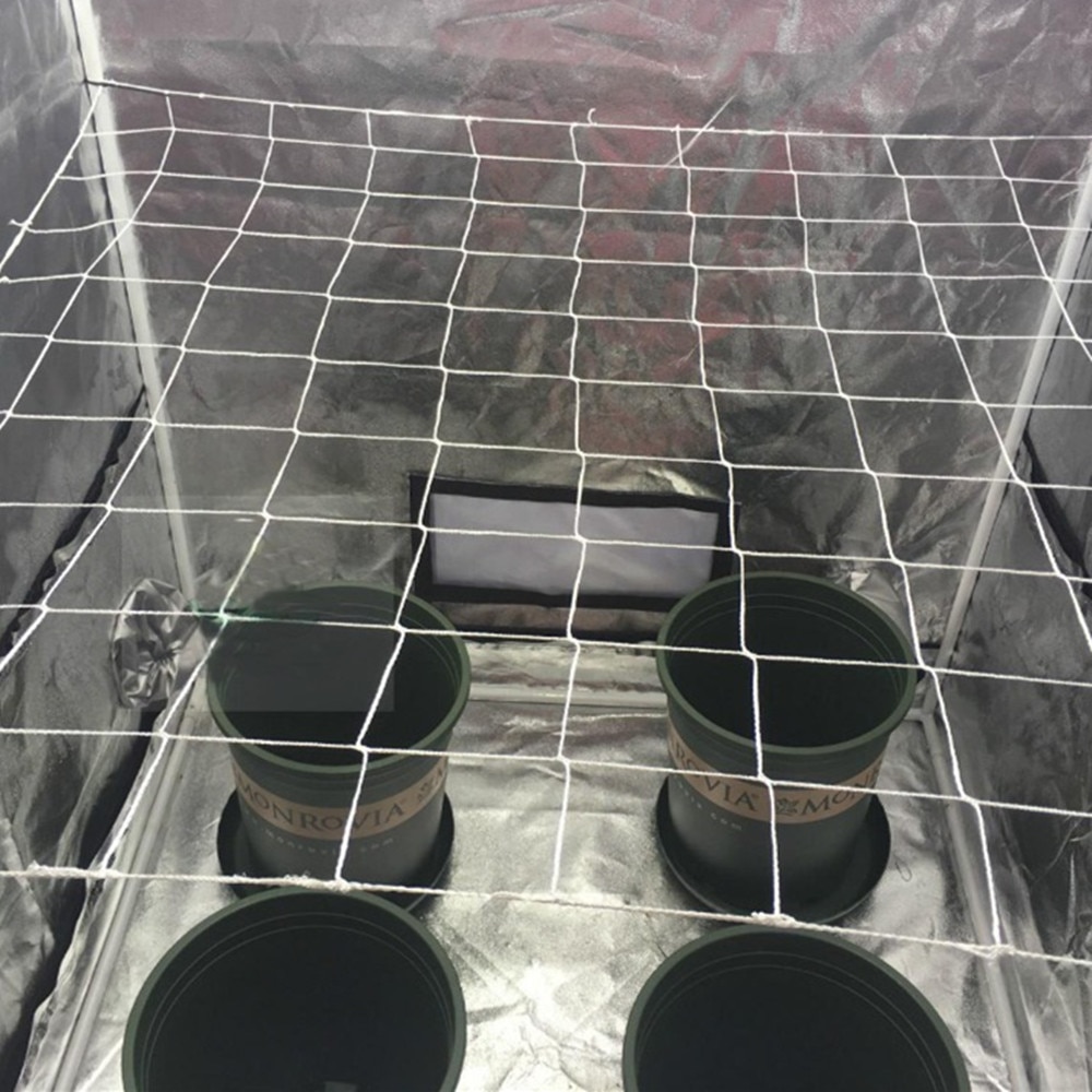 Plant Support Grow Tent Trellis Net Garden Polyest... – Grandado