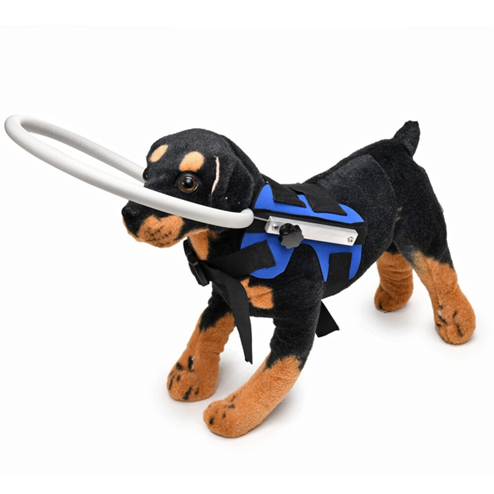 Cat Sick Eyes Pet Safe Puppy Anti Collision Blind ... – Grandado