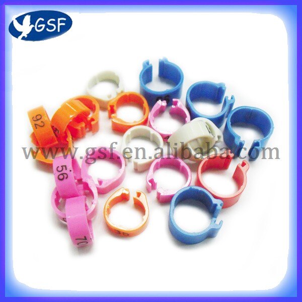 100pcs Plastic open ring for pigeon bird finch chi... – Grandado
