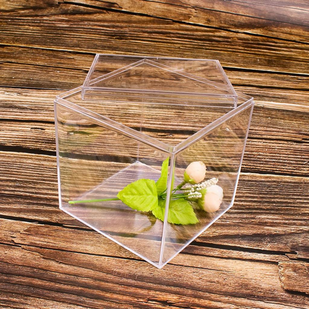 2pcs Clear Acrylic Display Box Case Perspex Dustpr... – Vicedeal