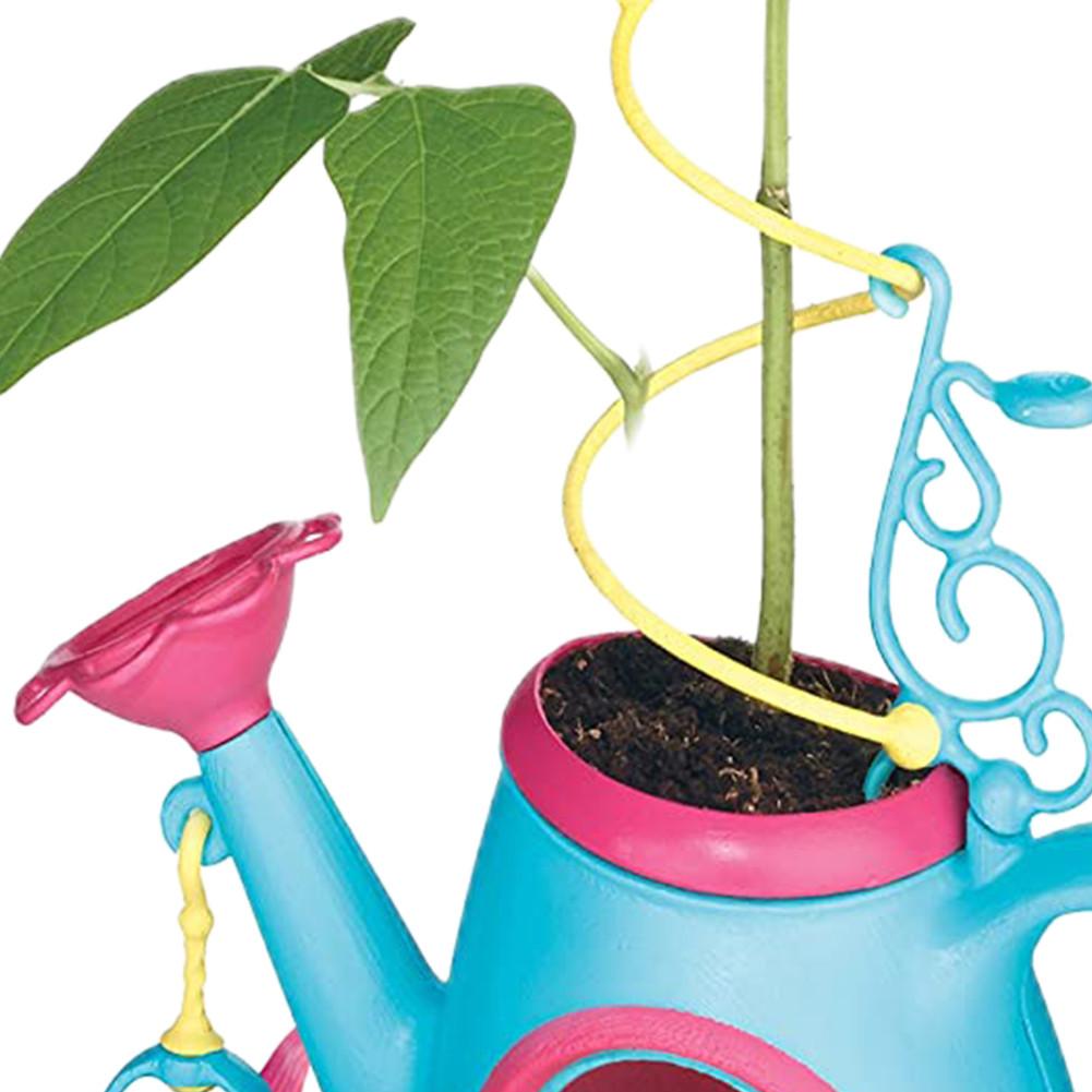 Fairy Garden Kit Magic Bean Planting Toy DIY Craft... – Vicedeal