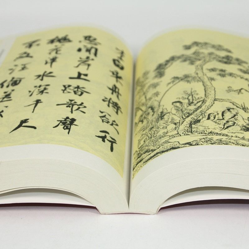 Copybook Multiple Types Chinese Calligraphy Classi... – Grandado