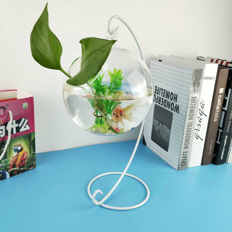 Desktop Hanging Glass Fish Tank Mini Aquatic Plant... – Vicedeal