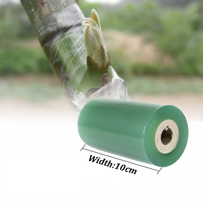 Garden tree Nursery Seedle floristry Pruner Plant ... – Grandado