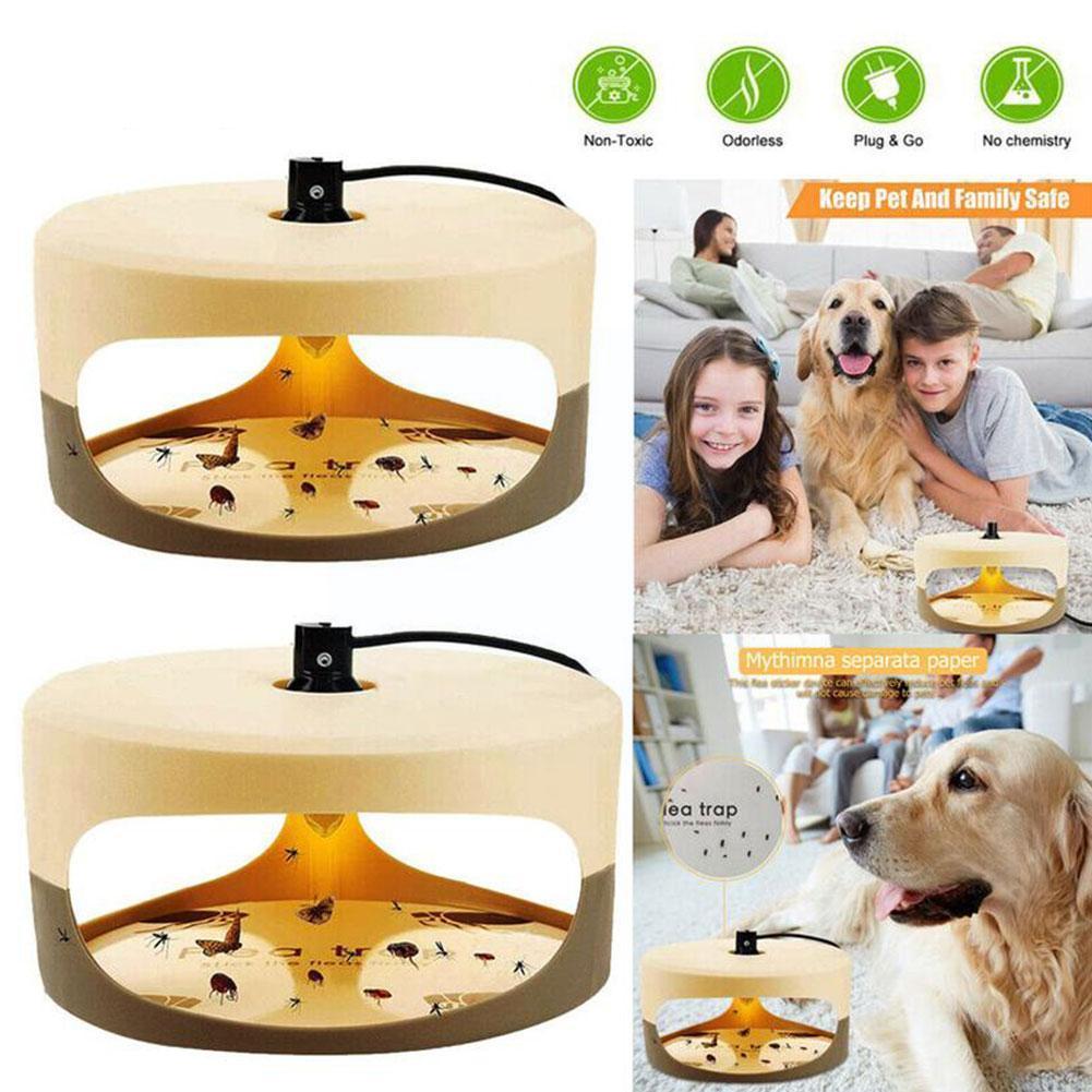 Dome Flea Bed Bug Trap Useful Sticky Dome Flea Tra... – Vicedeal