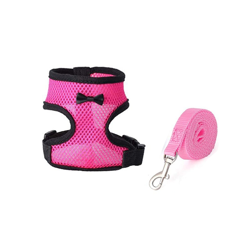 Correa ajustable para gallinas, pato, cachorro, ga... – Grandado