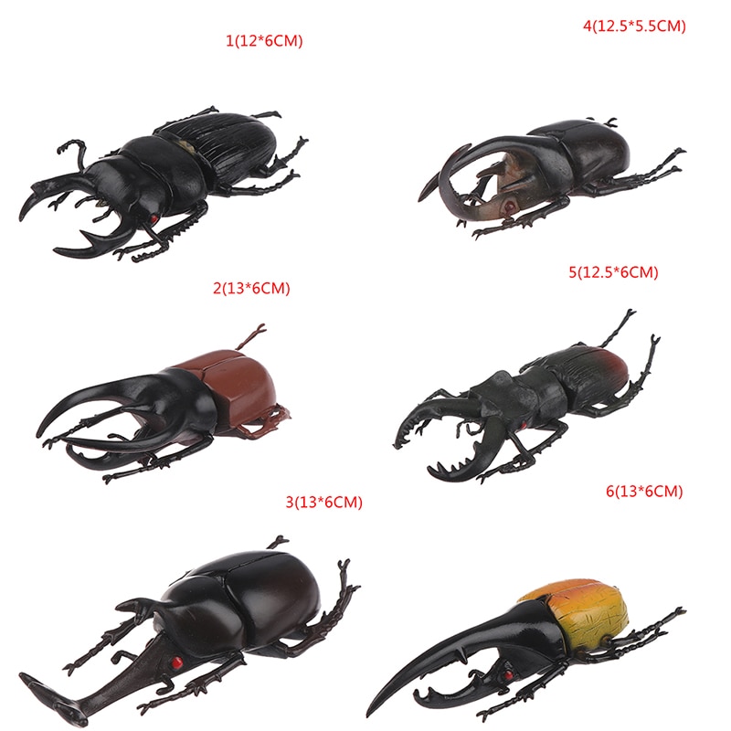 6 style 13cm simulation beetle Toys Special Lifeli... – Grandado