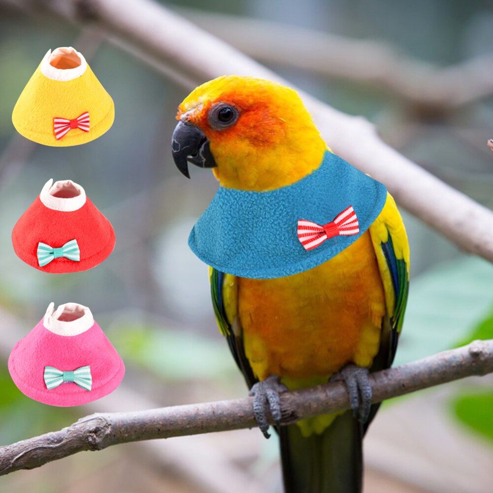 Collier de récupération pour perroquet, nœud papil... – Grandado