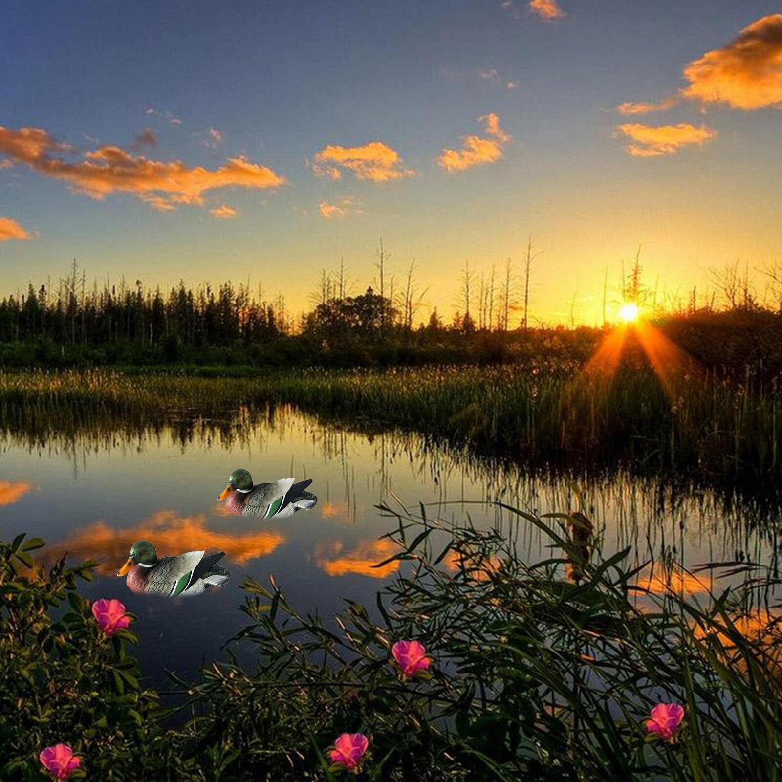 Garden Statue Outdoor Flamingo Swan Yard Art Resin... – Vicedeal