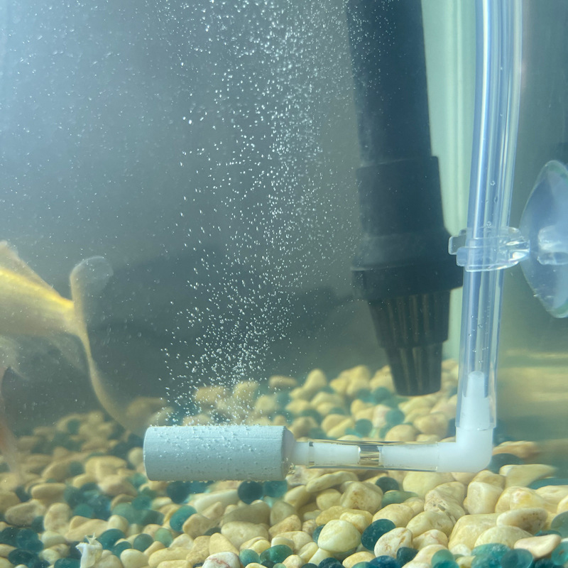 Aquarium CO2 Diffuser CO2 System Regulator Atomize... – Grandado