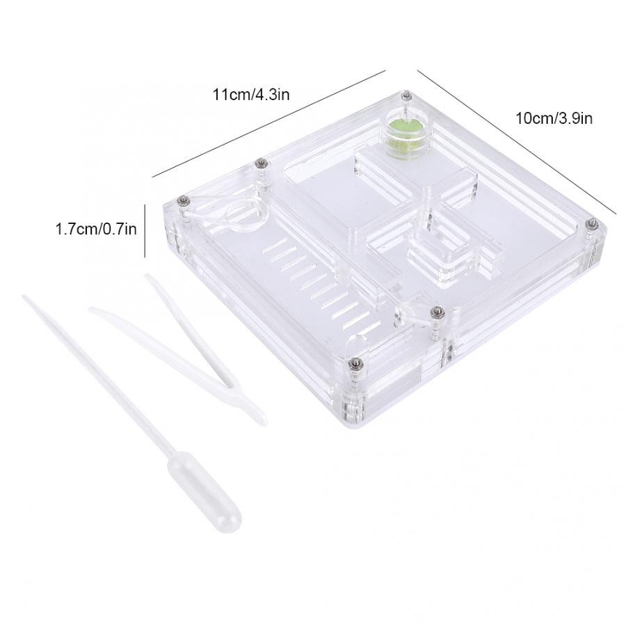 Acrylic Transparent Ant Breeding House Nest Formic... – Vicedeal
