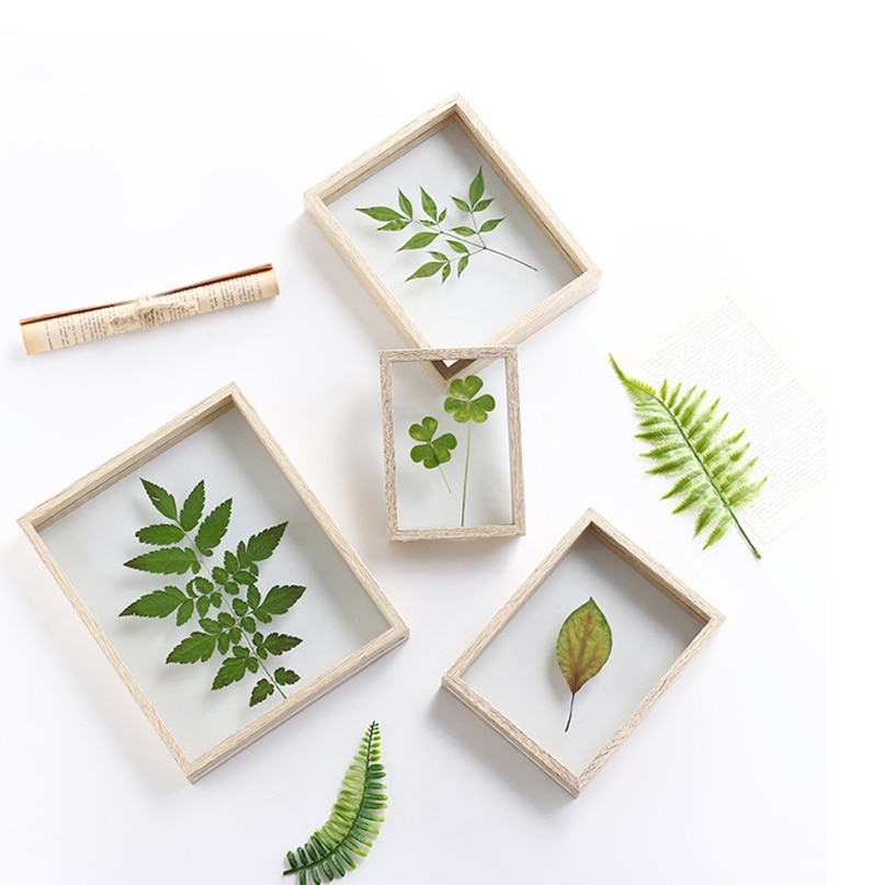 SUFEILE Plant specimen Picture frame 6 inch solid ... – Vicedeal