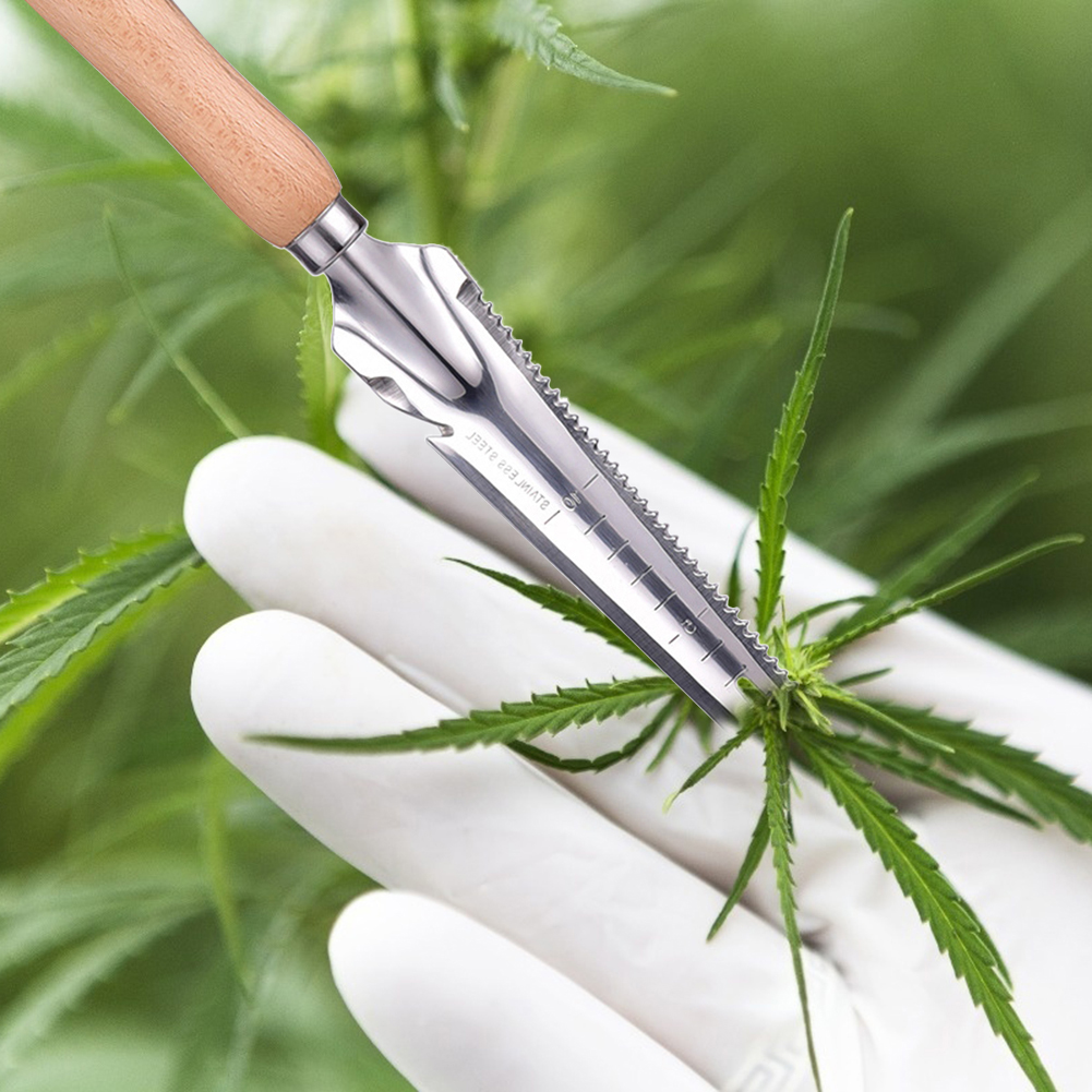 Manual Weeder Stainless Steel Cutter Puller Home G... – Grandado