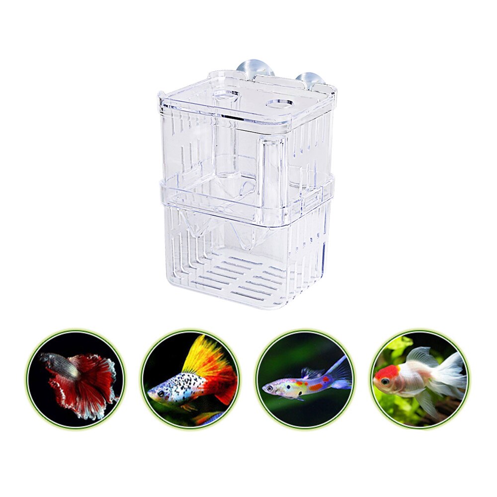1PCS Multifunctional Transparent Small Fish Tank S... – Grandado