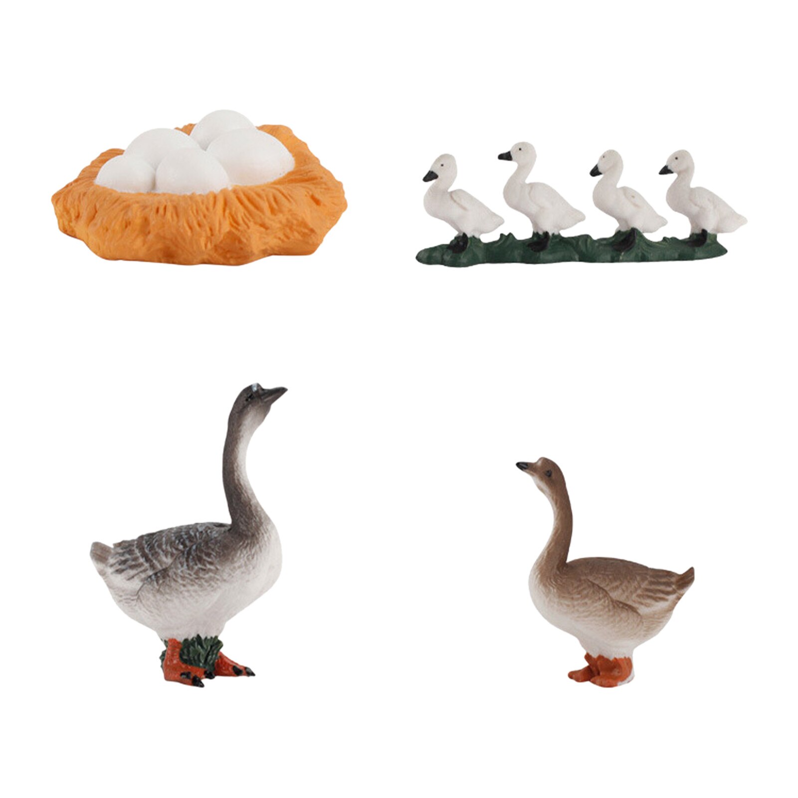 Sets Life Cycle Figurines of swan goose animal Fig... – Grandado