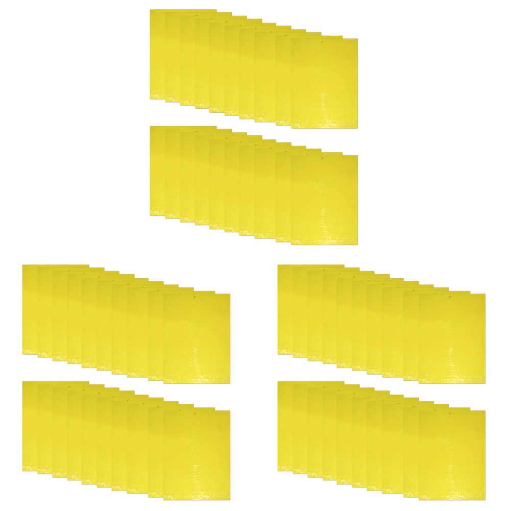 20-200PCS Fly Stickers Double Sided Flying Insect ... – Grandado