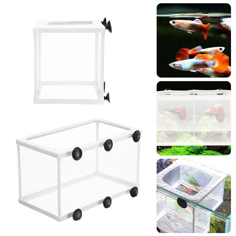 Material Fish Tank Tropical Fish Small Fish Isolat... – Vicedeal