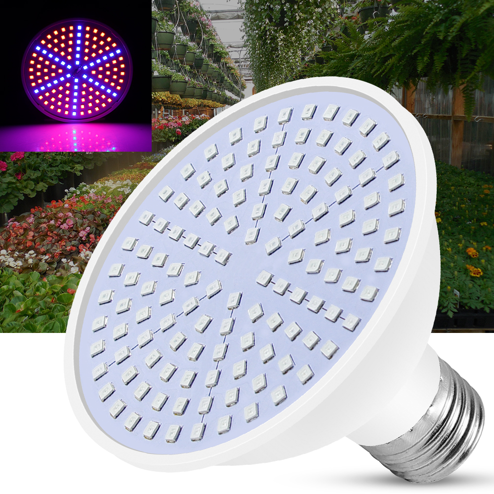 Led Grow Light E27 Volledige Spectrum Phyto Lamp P... – Vicedeal