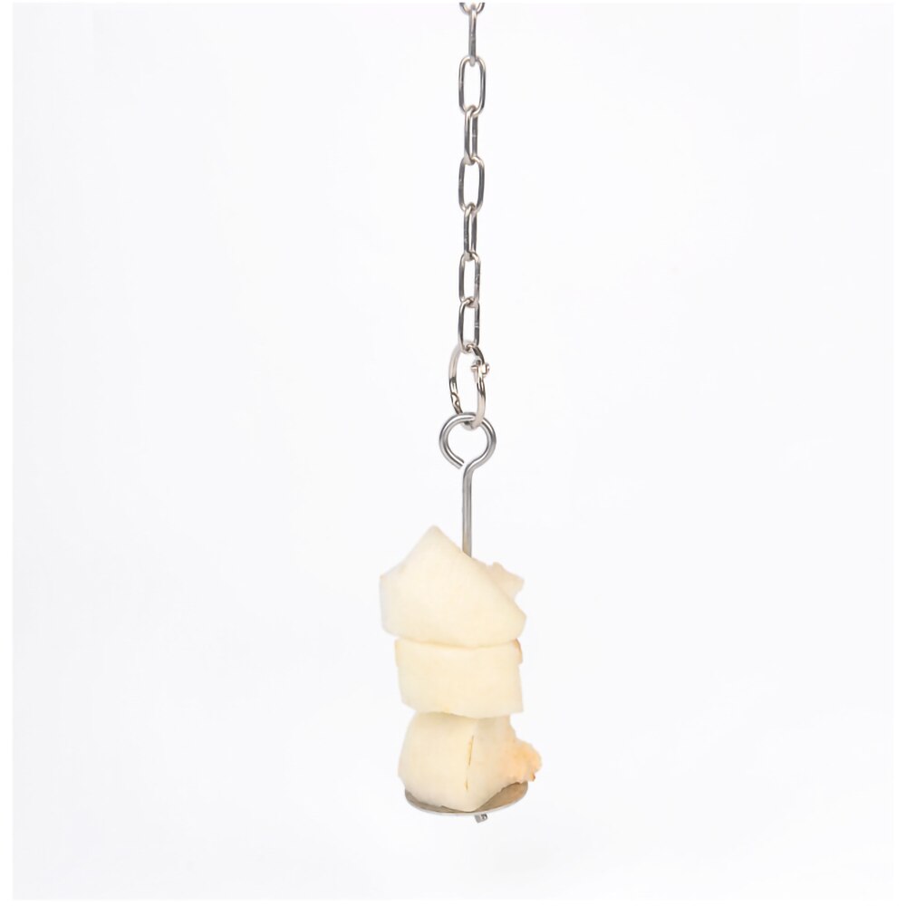 1Pcs Rvs Fruit Vork Papegaai Forager Kip Feeder Ke... – Vicedeal