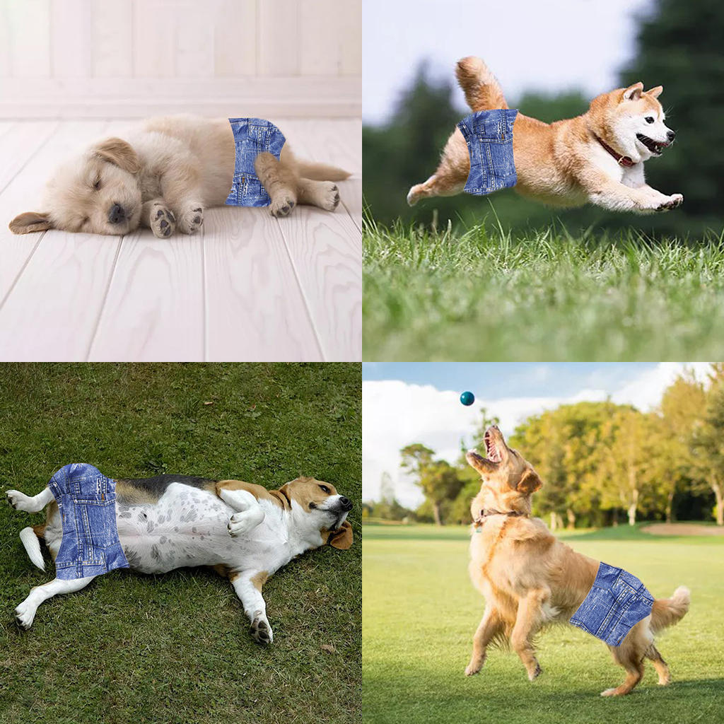 Reusable Male Dog Belly Wrap Sanitary Pants High A... – Grandado