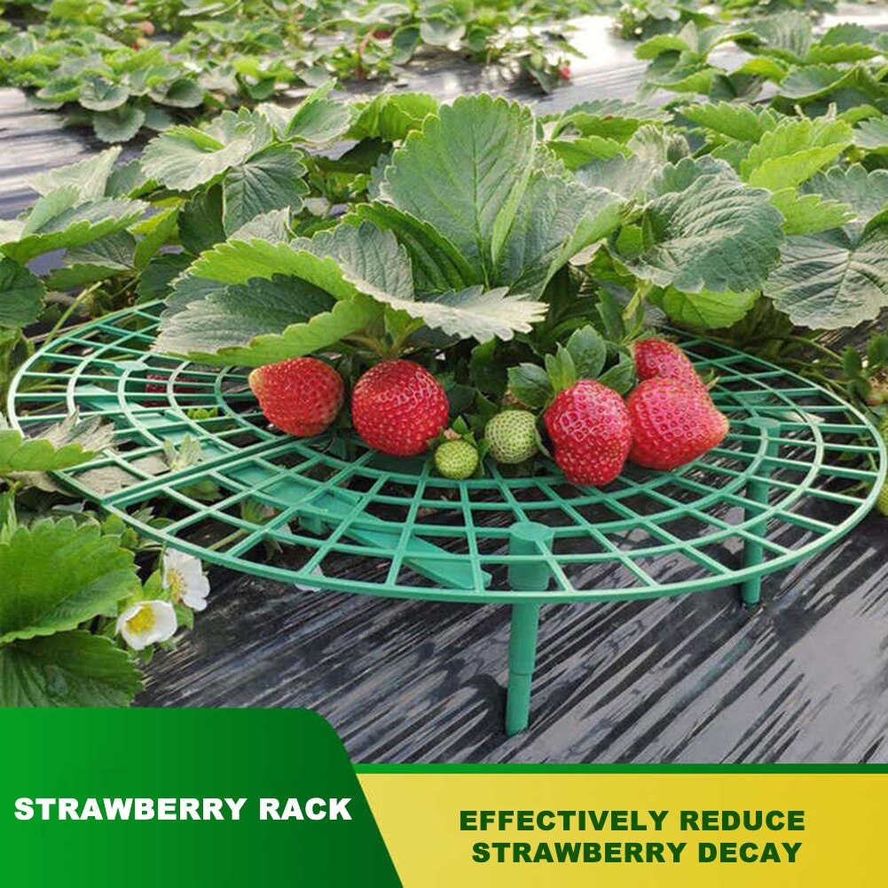 1/5/10 PCS Strawberry Stand Frame Holder Balcony P... – Vicedeal