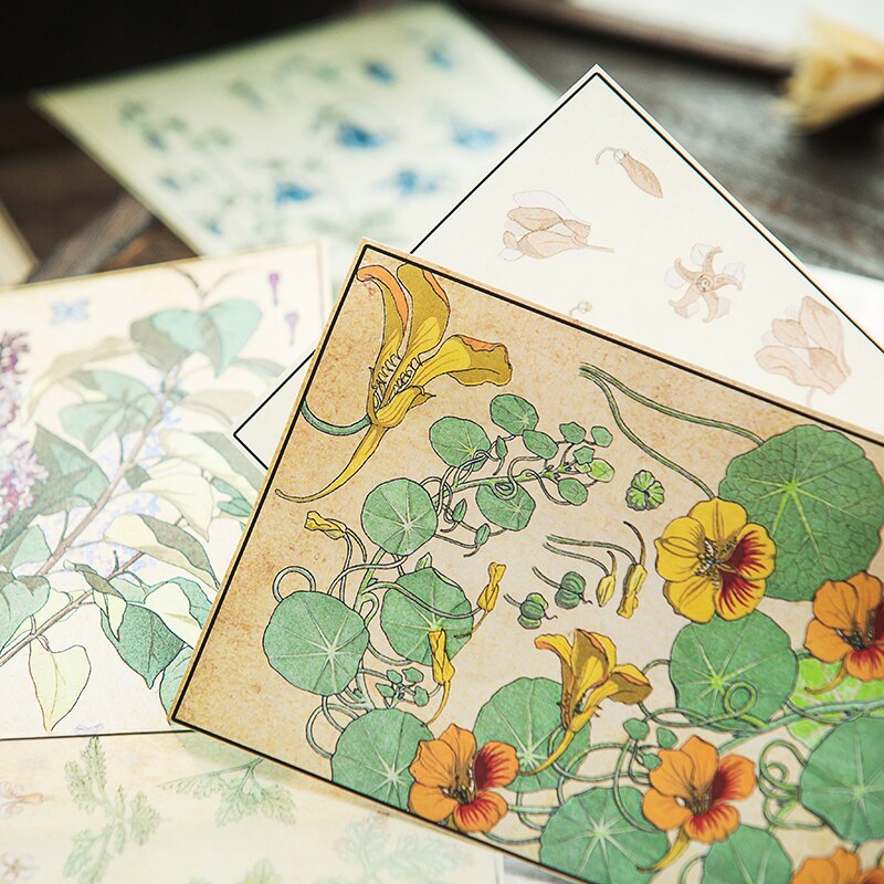 Vintage Plants Illustration Background Paper DIY S... – Grandado