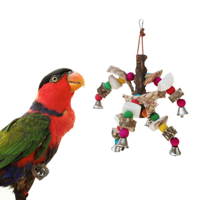 Luonnonpuiset linnut papukaijat häkki roikkuu kell... – Grandado