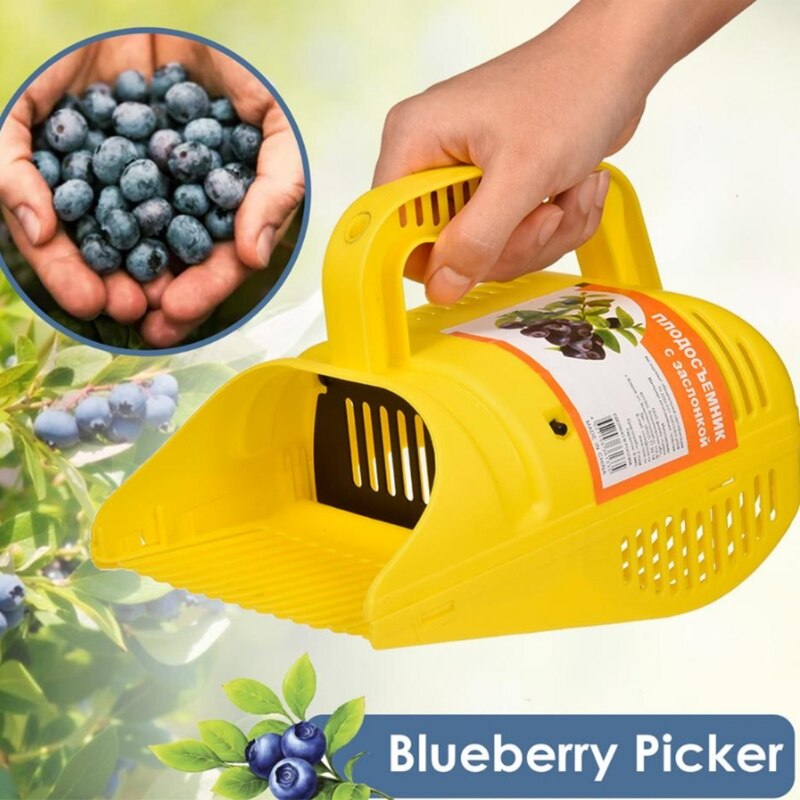 Onmisbaar Blauw-Bessen Plukken Tool Fruit Pic-Ker ... – Grandado