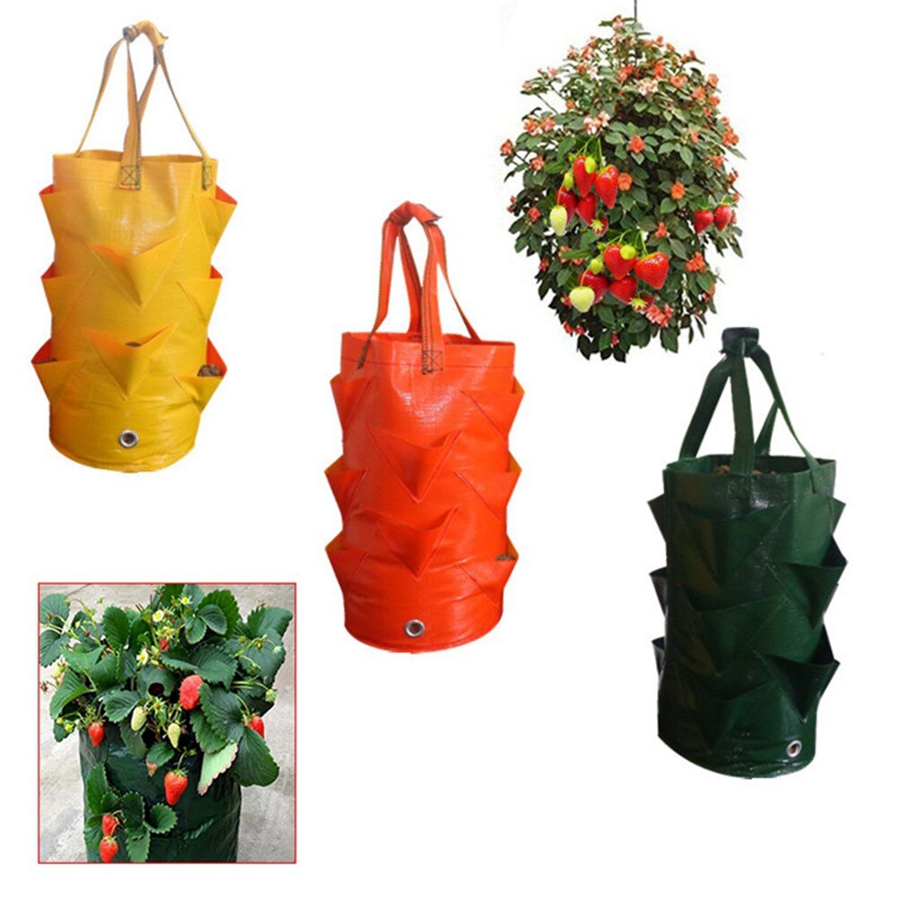 Multi-Mouth Grow Bag PE Strawberry Growing Bag Gar... – Grandado