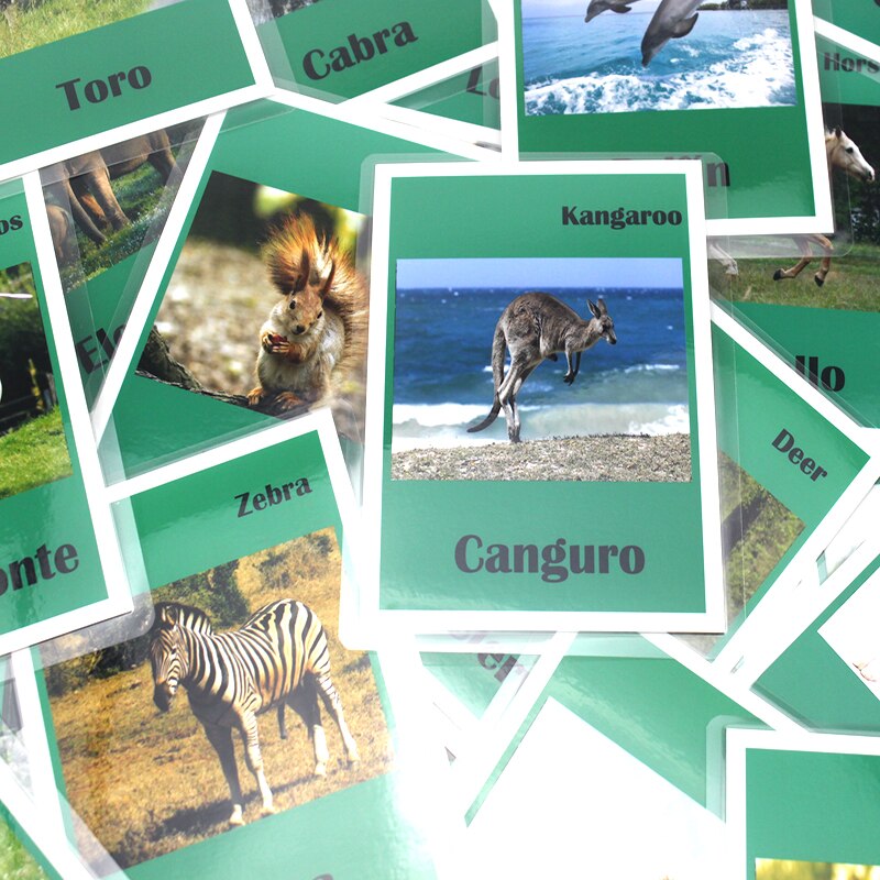 Tarjeta de palabras de animales en español/inglés,... – Grandado